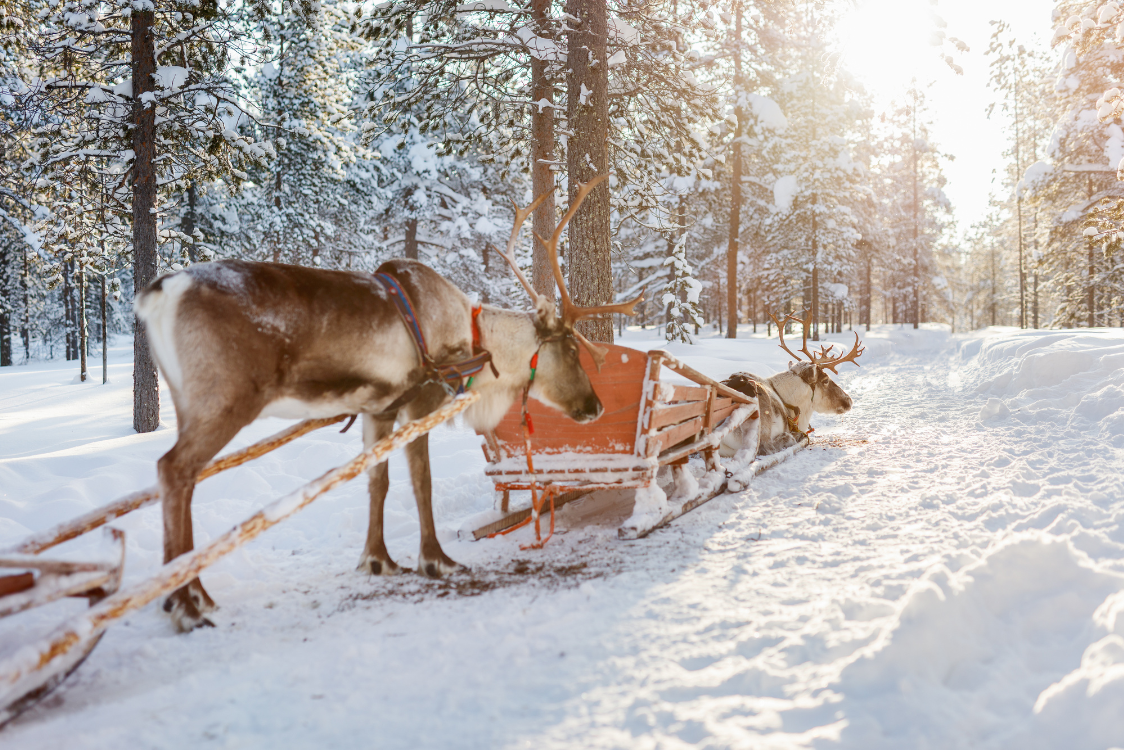 Experience The Magic of Lapland - London Southend Airport