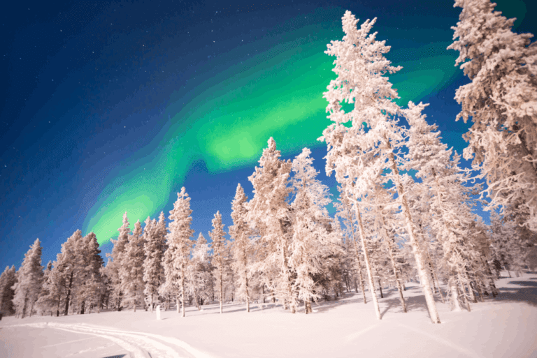 Experience The Magic of Lapland - London Southend Airport