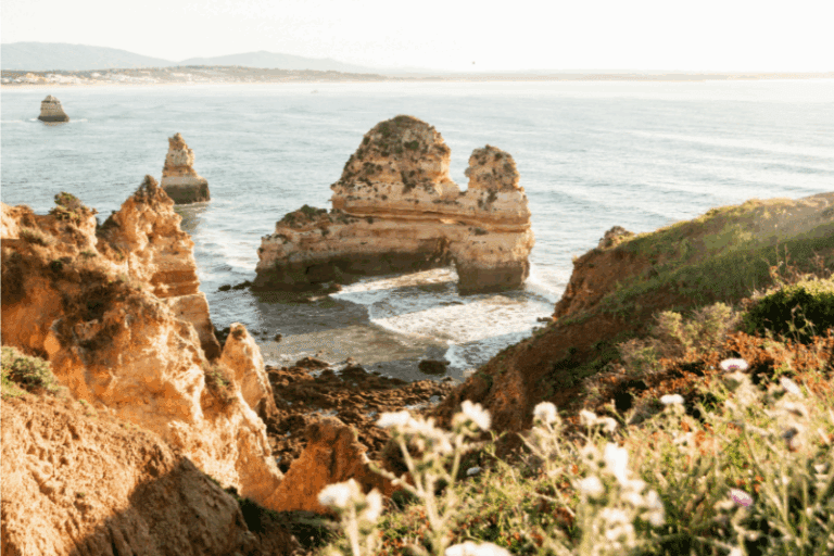 Winter in Faro: Sunshine, Festivals and Flamingos in the Algarve ...